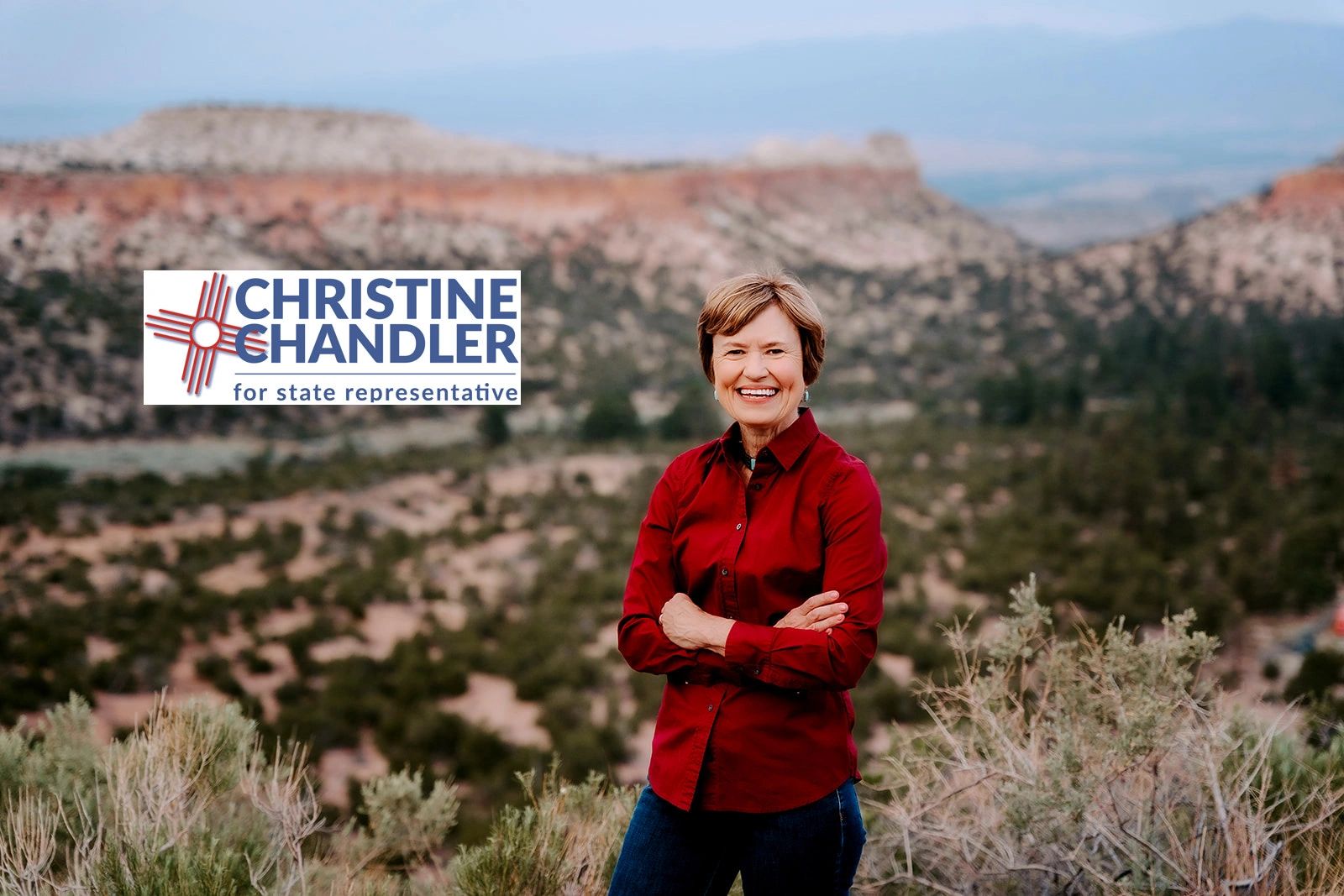 New Mexico State Representative Christine Chandler