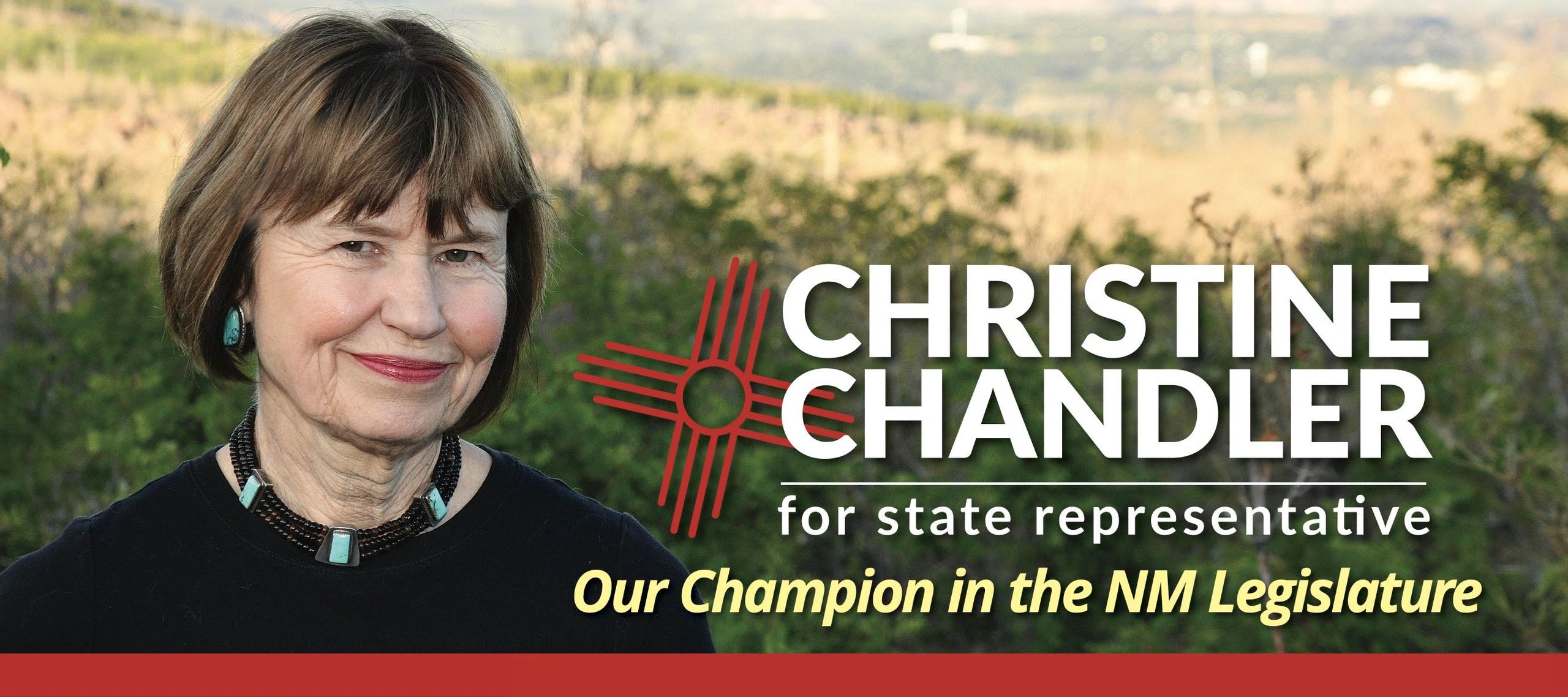 New Mexico State Representative Christine Chandler