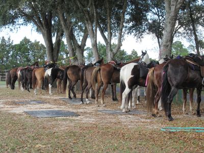 Altoona Trail Riders