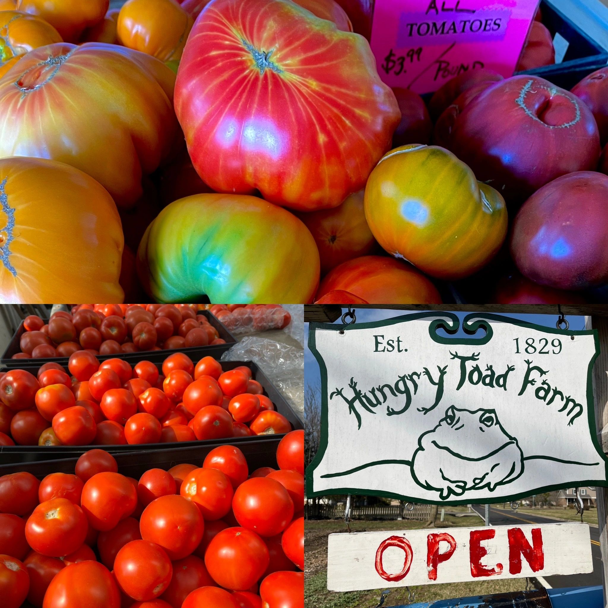 Hungry Toad Farm - Organic Produce, Eggs, Farm