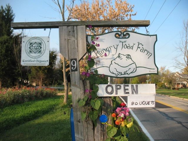 Hungry Toad Farm - Organic Produce, Eggs, Farm