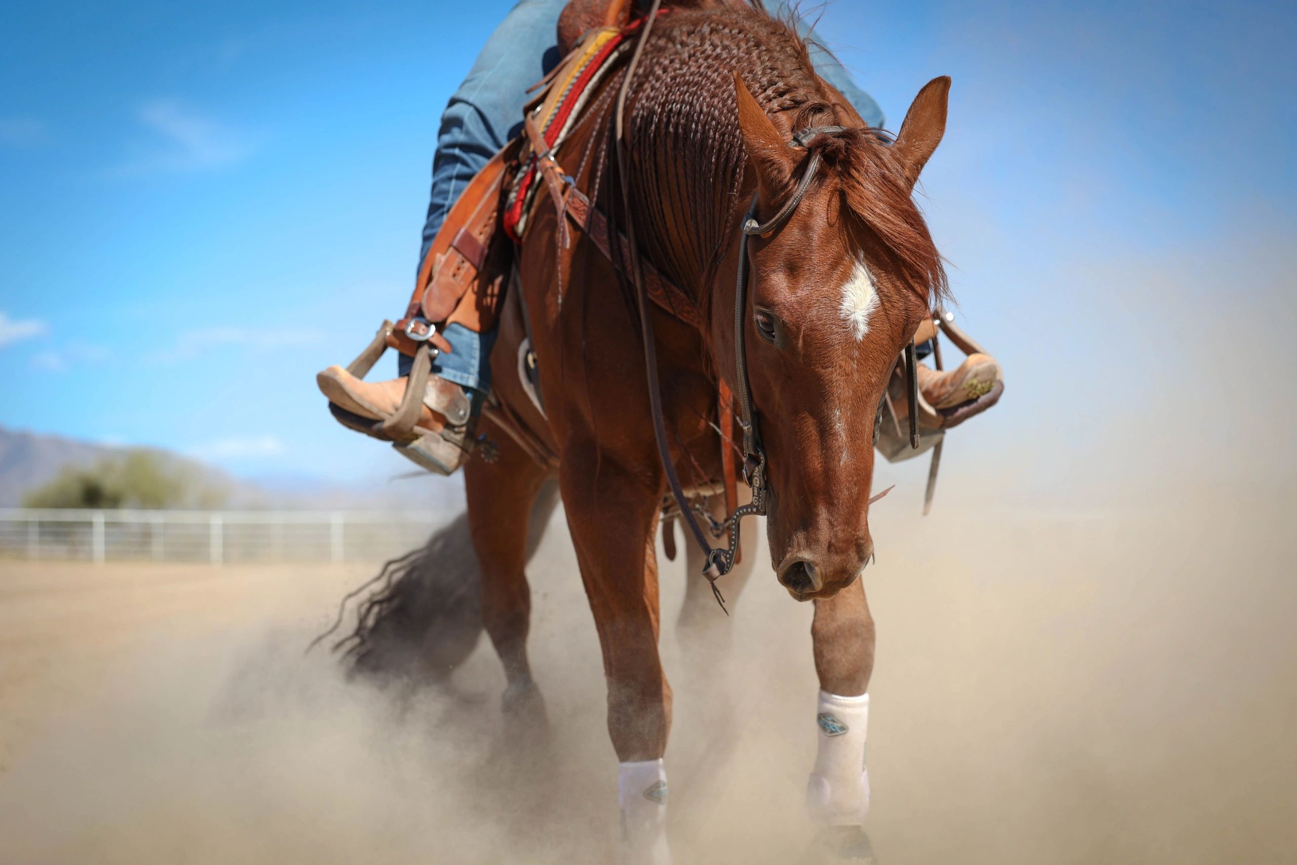 Gallery | K Arrow Productions