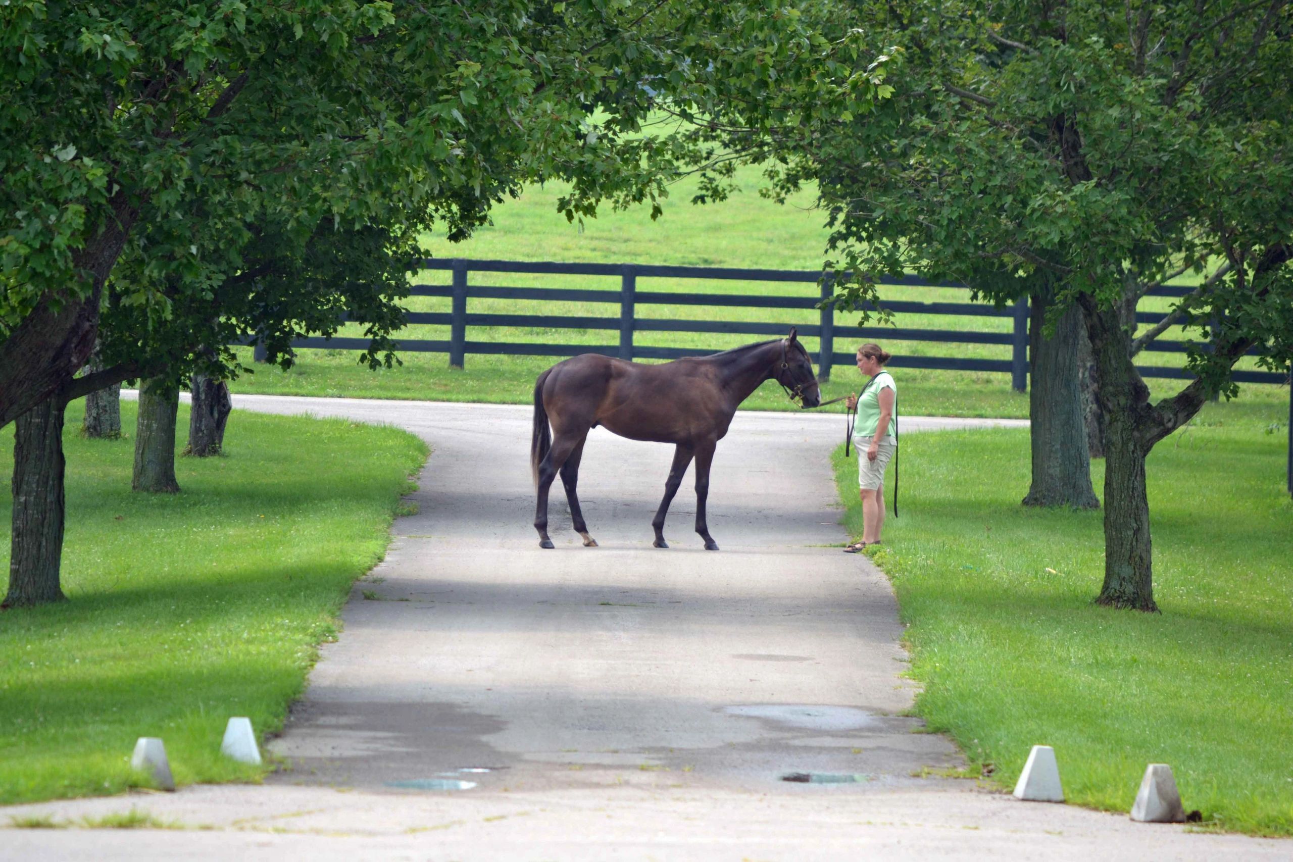 Watershed Equine, LLC