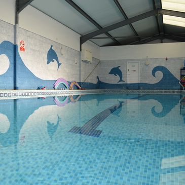 Big Fish Little Fish Swim School - Swimming Lessons, Swimming Pool