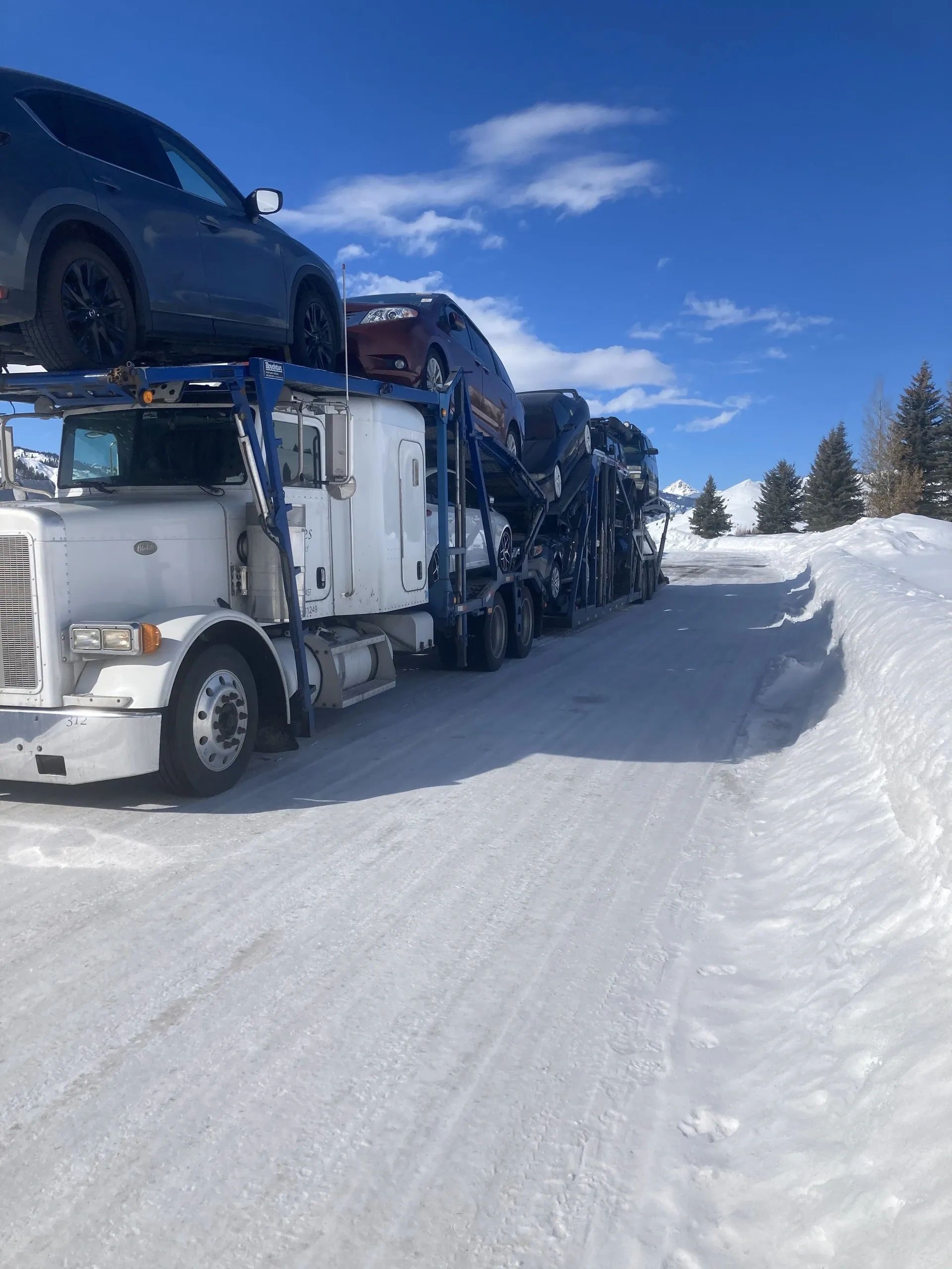 Auto Relocation Group - Auto Transport, Car Shipping Companies, Car ...