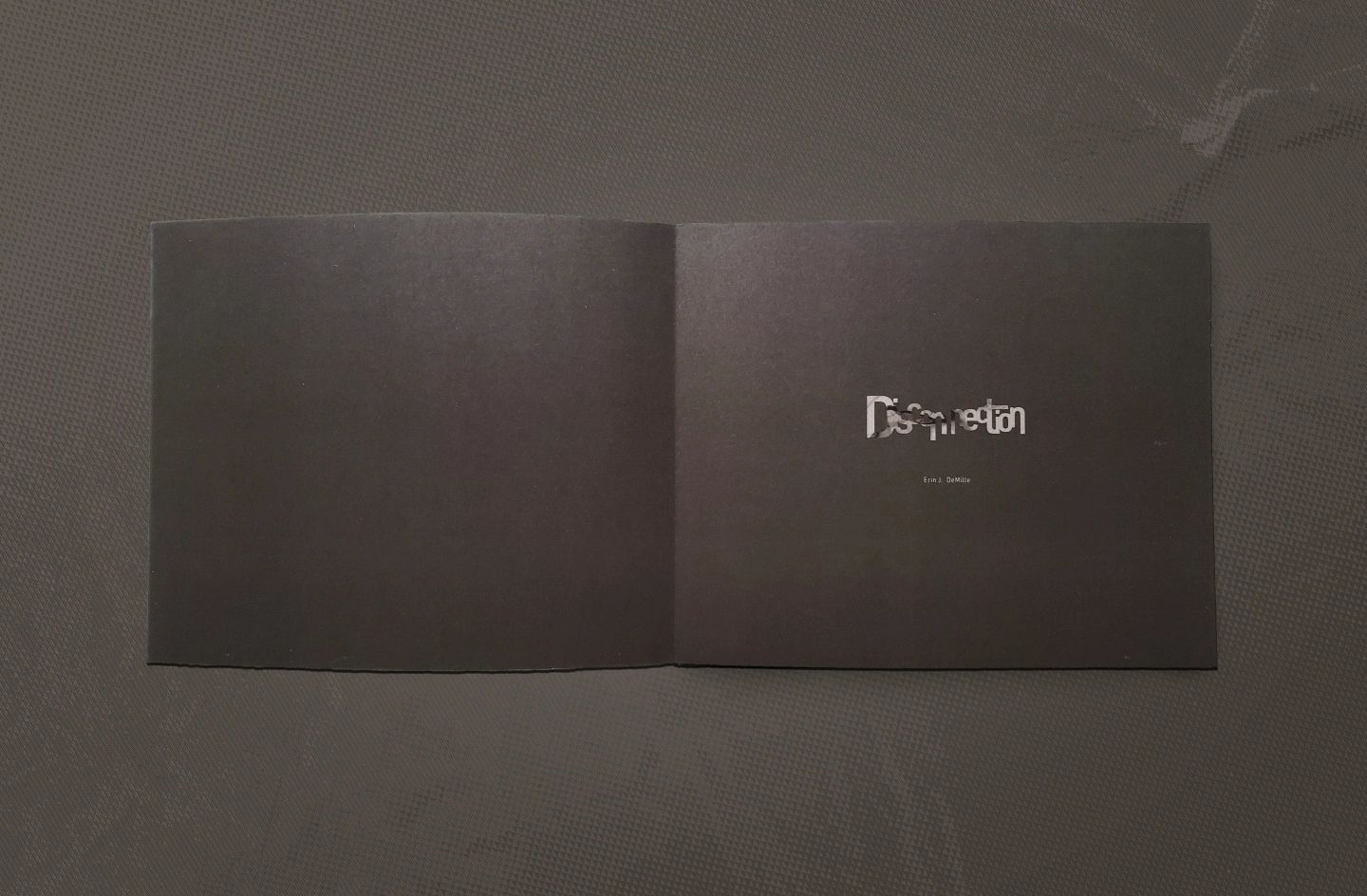 Erin J. DeMille: Graphic Design & Art