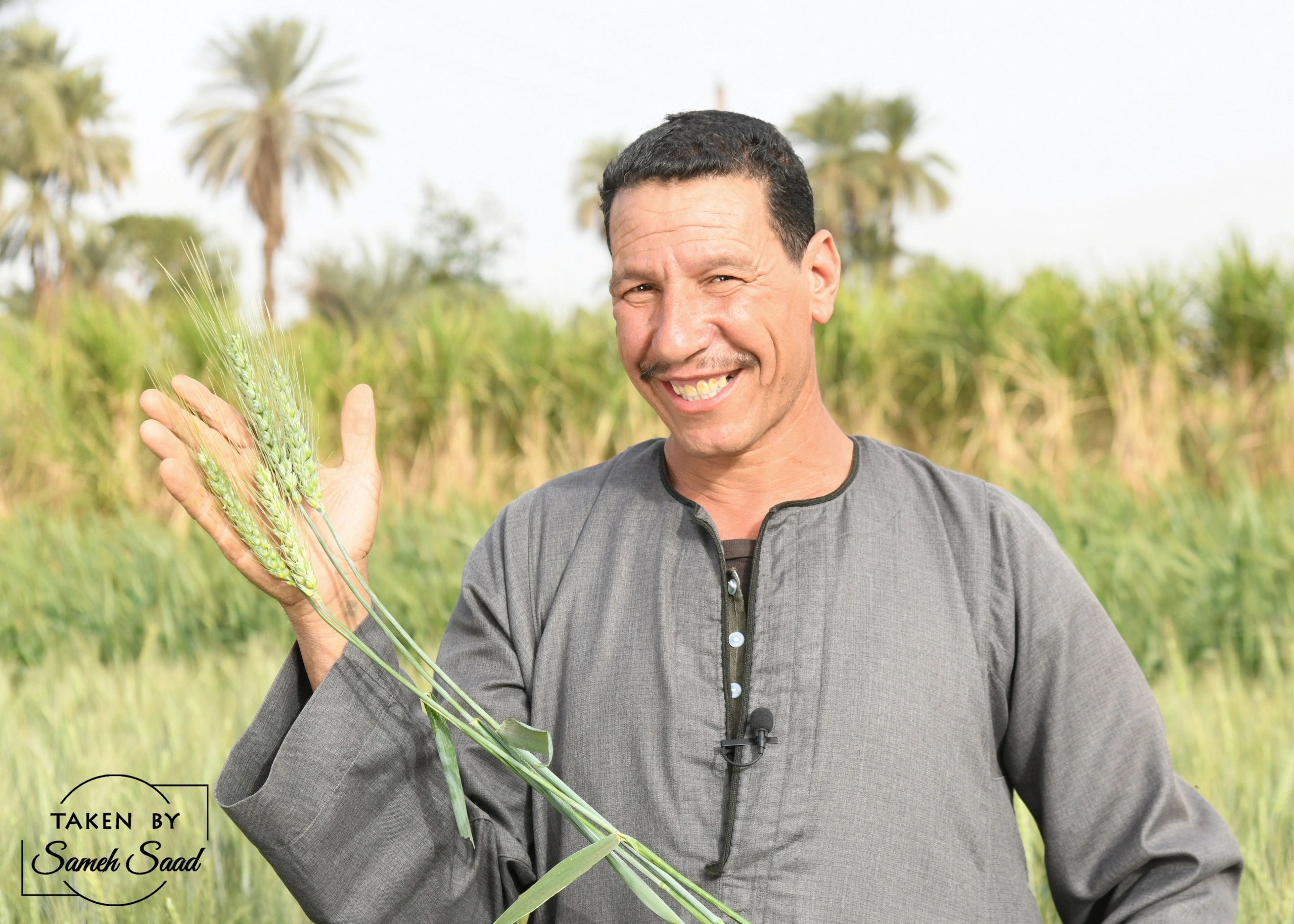 Blessegypt - Coptic Orthodox Church, Bishopric of Services, Bless Egypt