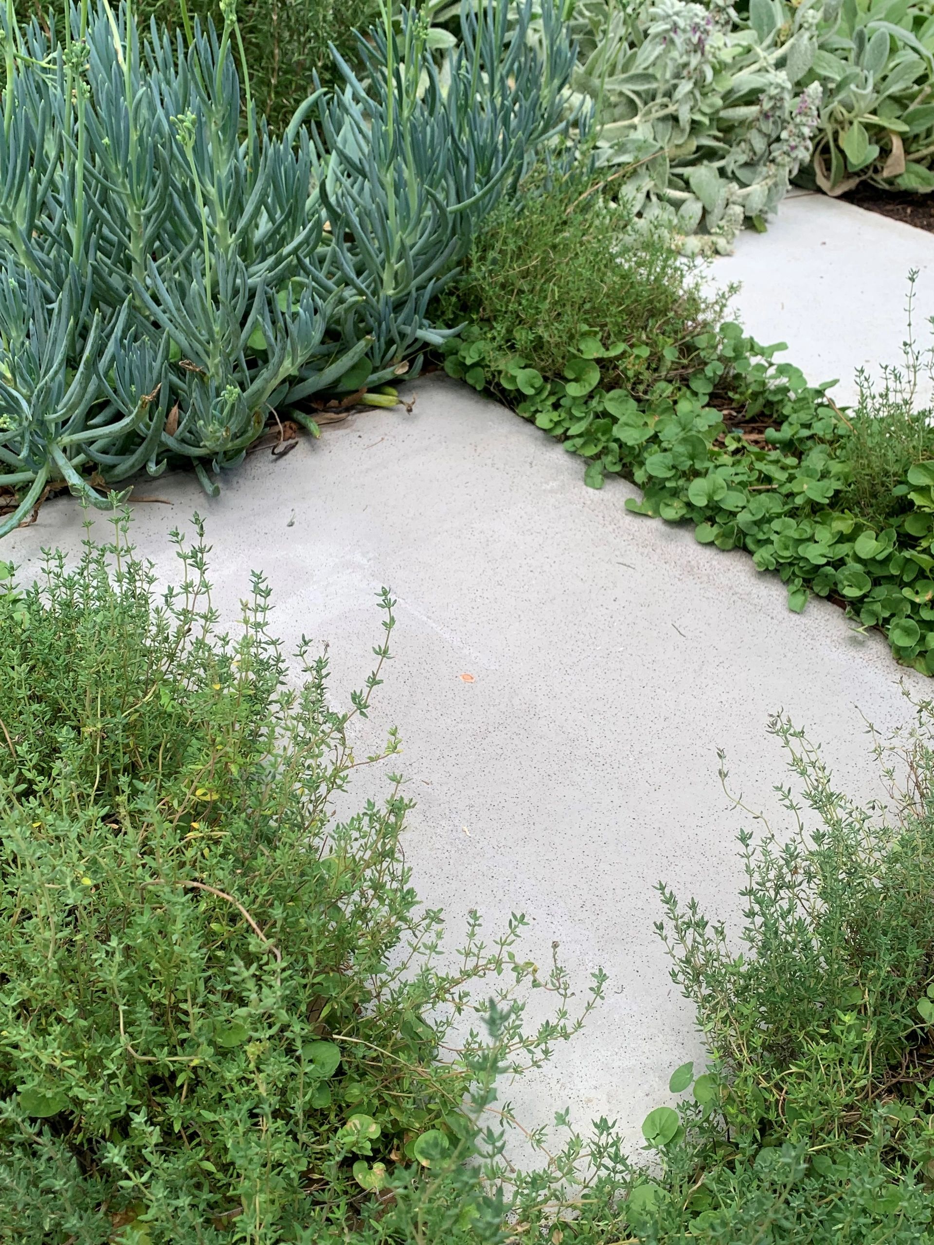 Matt Lenzi Landscapes - Home