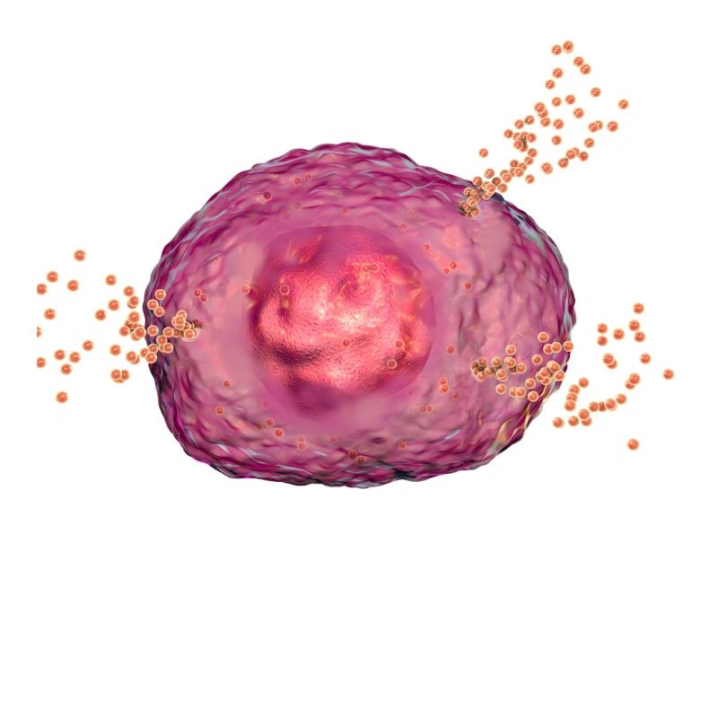 Mast cell activation and low-histamine diets: A brief guide