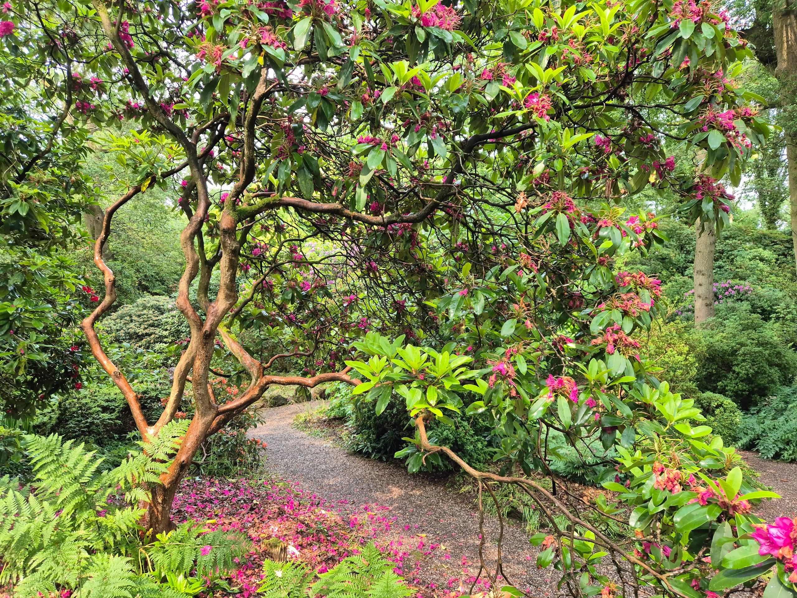 2025 Trip to Midlands and the North West - Day One