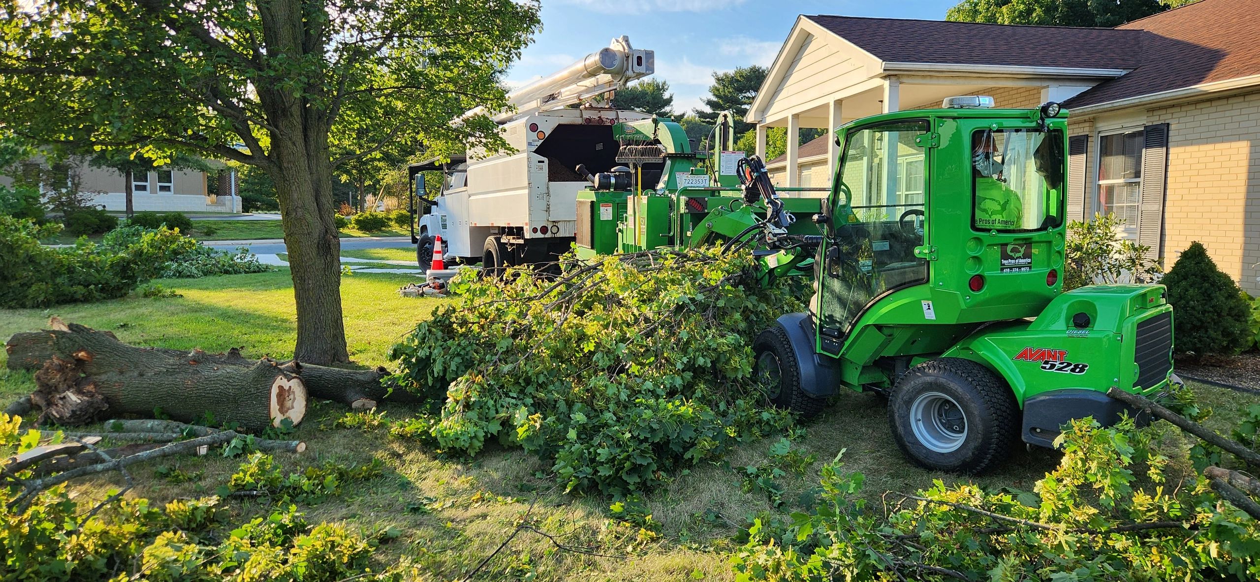 Tree Pros of America, LLC