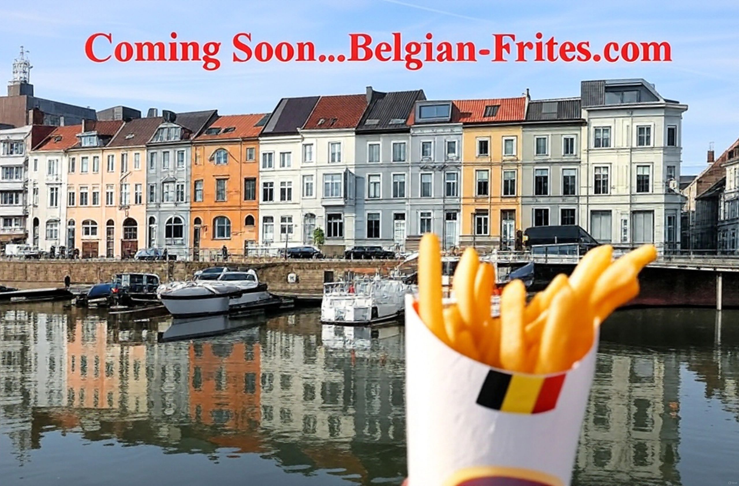Belgian Frites