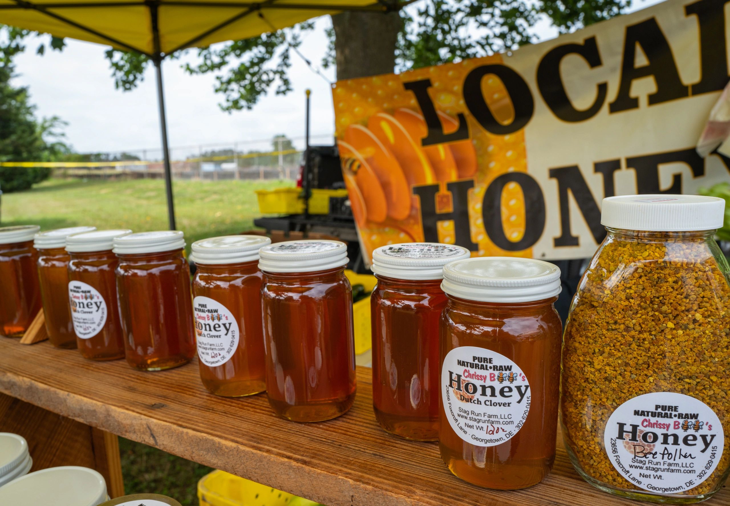 About | Stag Run Farm LLC