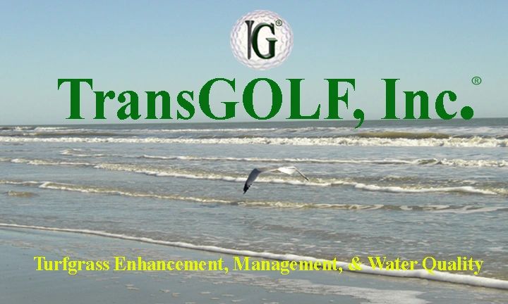 Products and Companies