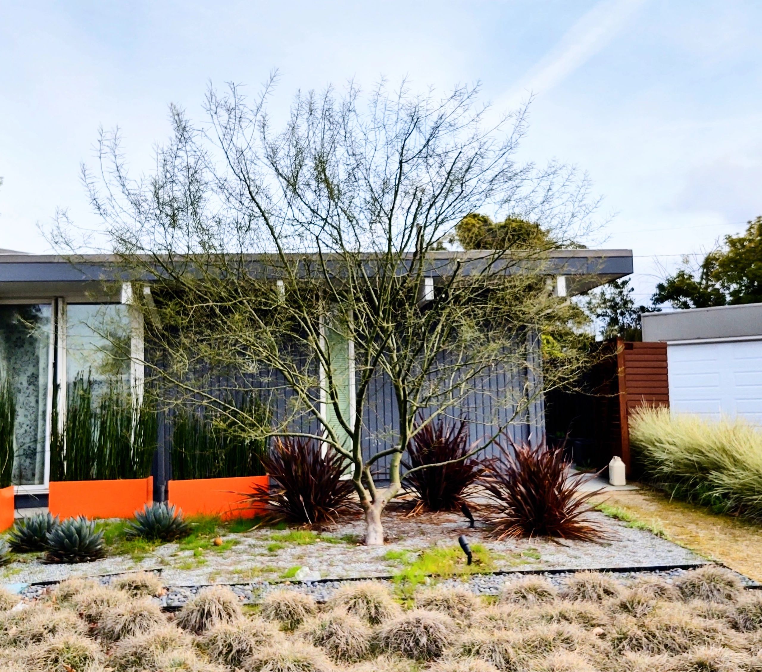 Organic Tree Care Company