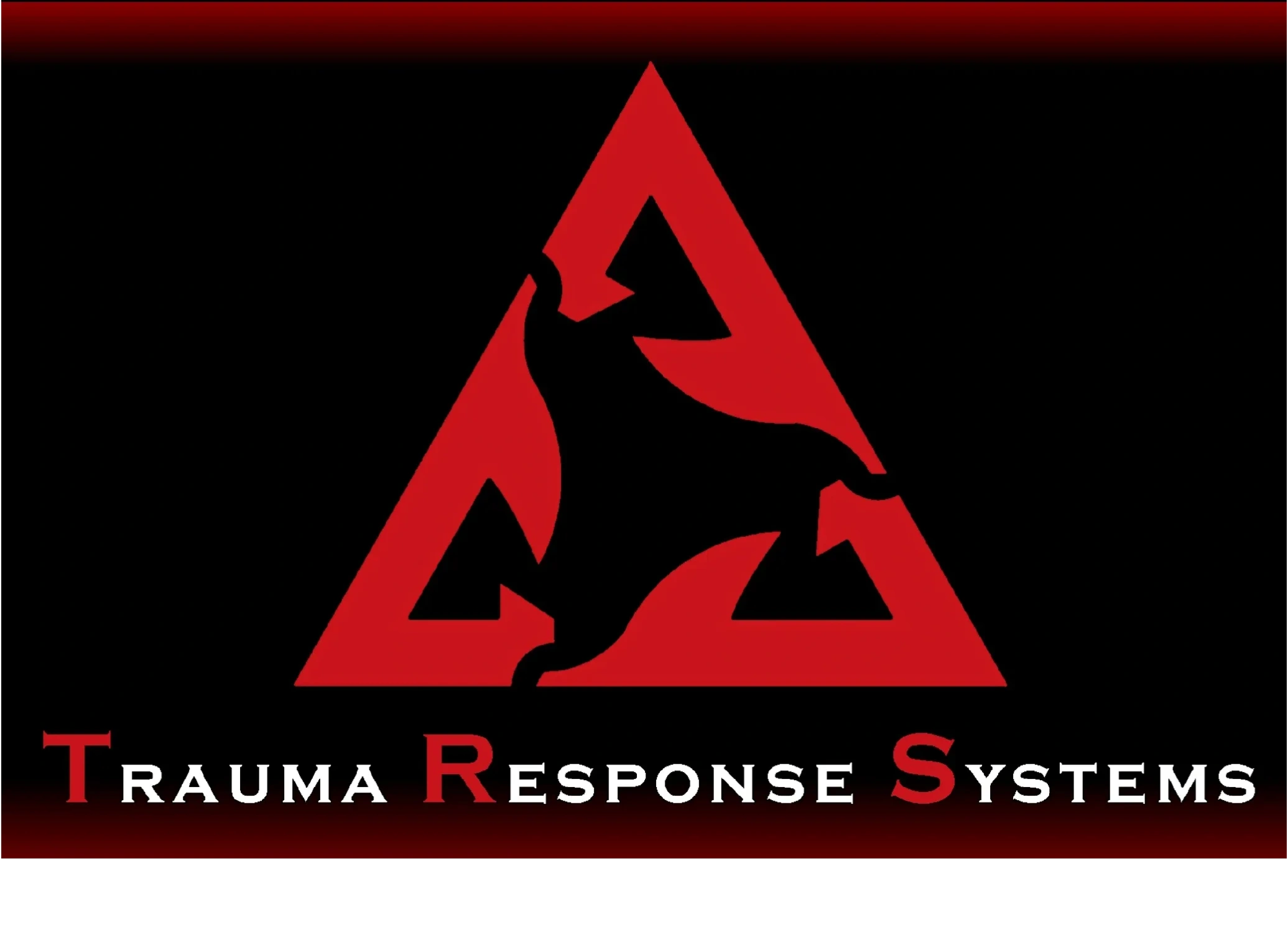 Trauma Response Systems