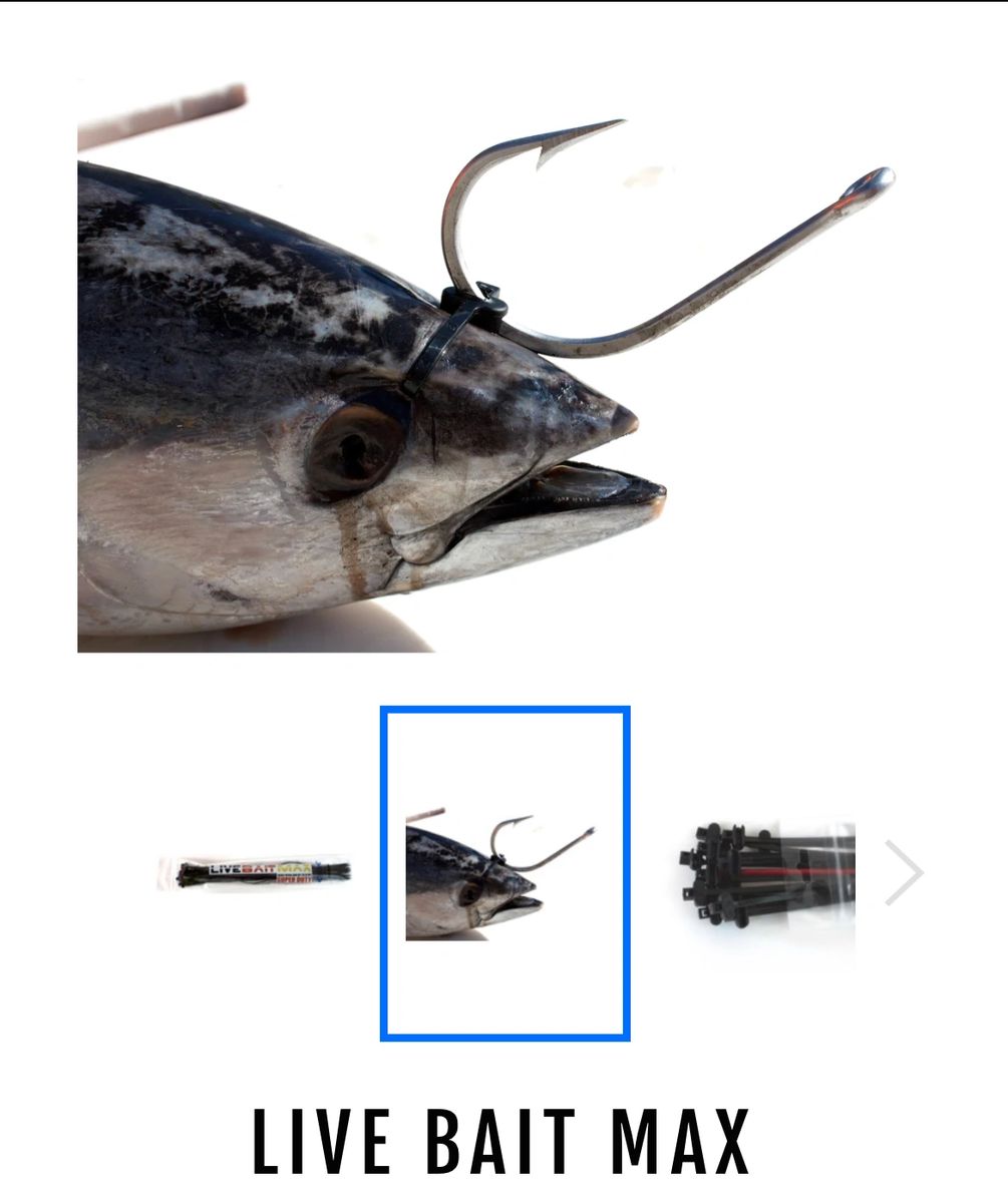 Nitta Live Bait max Bridle