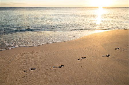 Expert Counseling Services for Your Healing Journey