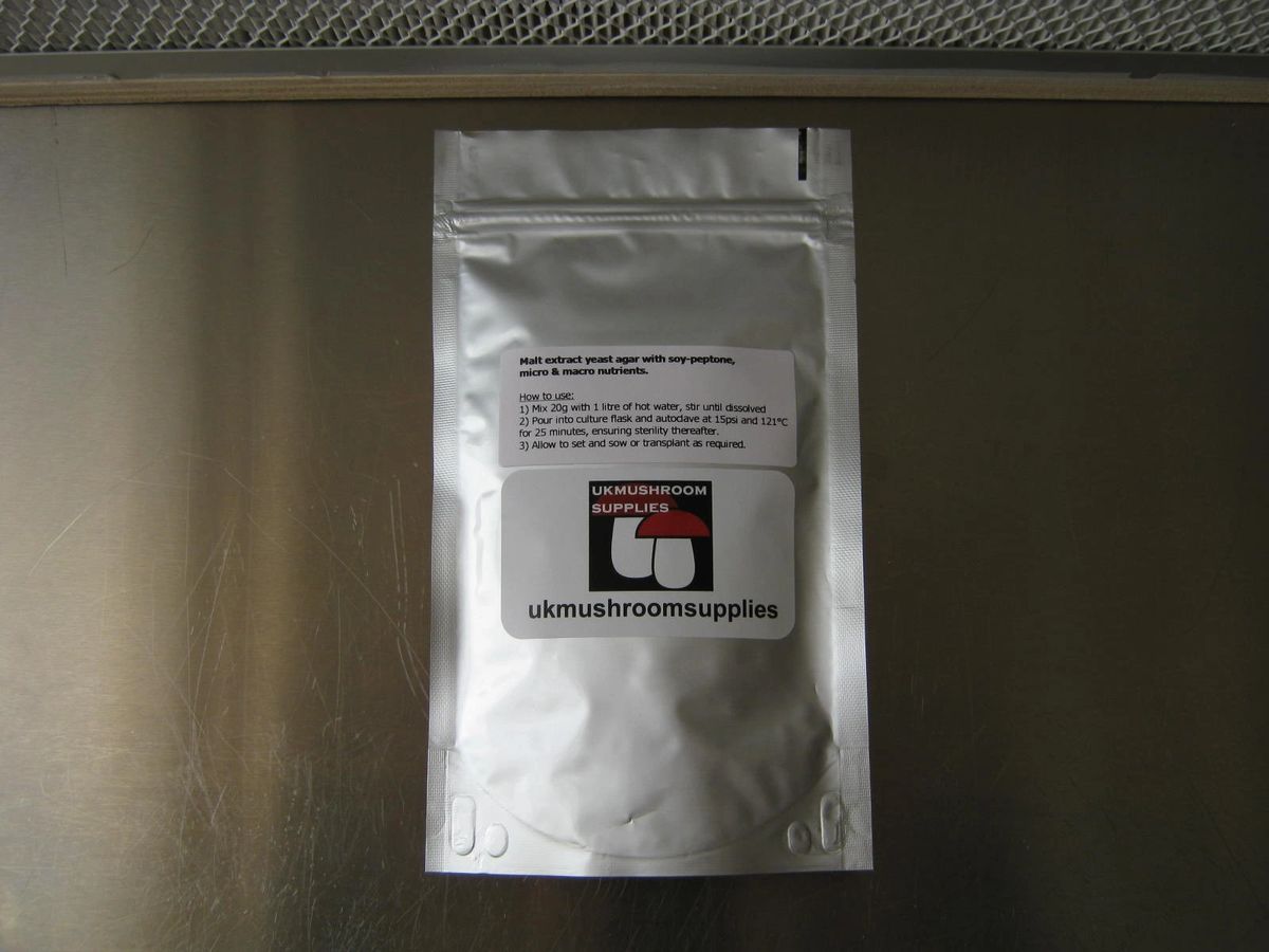 Malt Extract Agar (MEA) - Mushroom agar powder