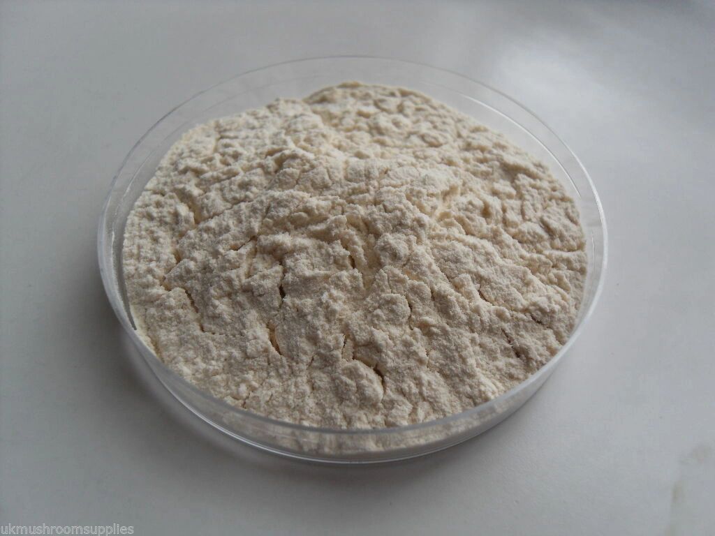 Light Malt Extract Powder - food grade, agar and liquid culture additive