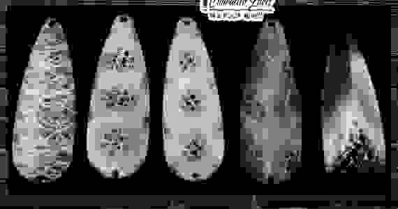 Character Lures - Fishing Store, Fishing, Fishing Lures