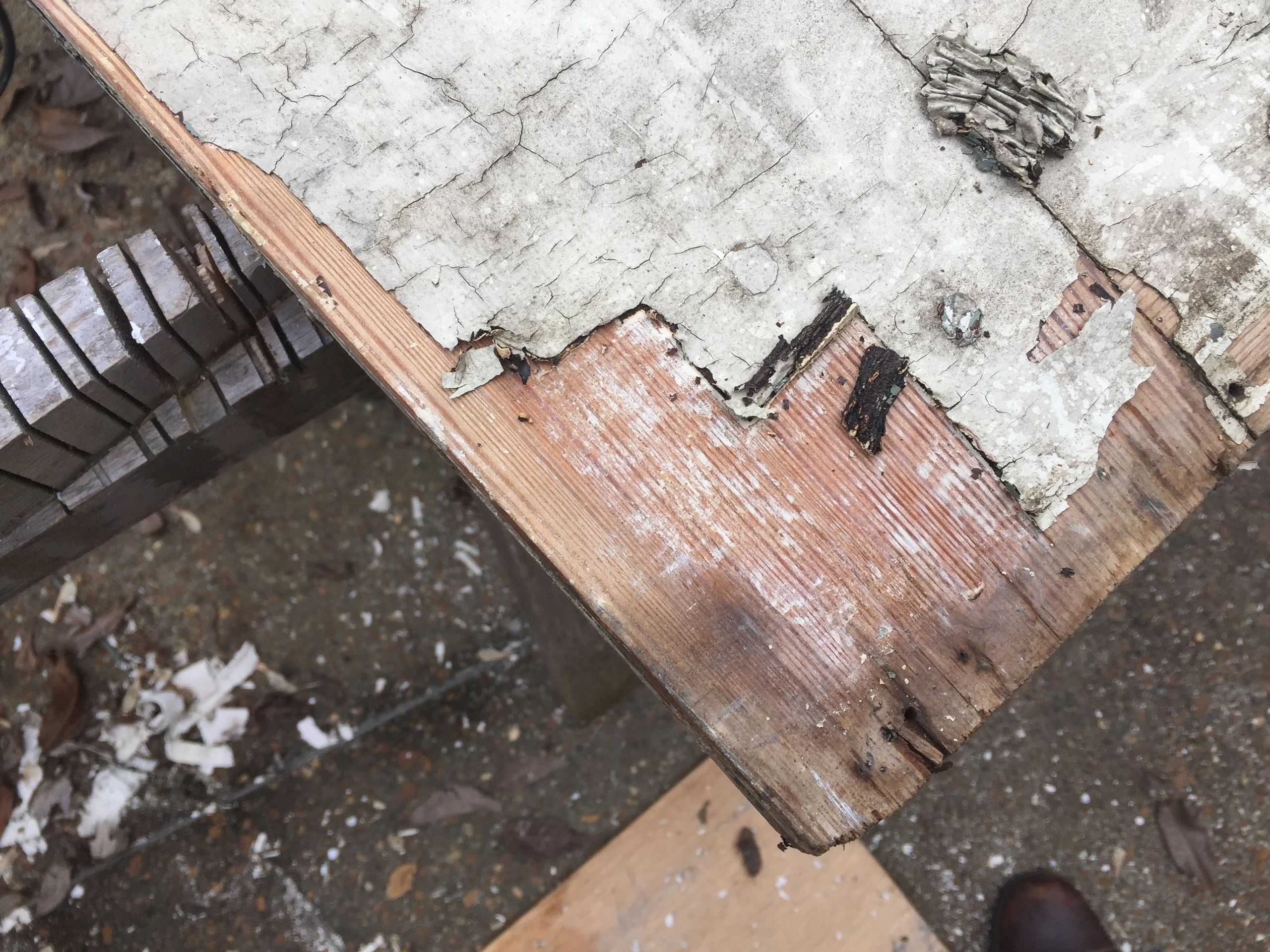 Caylor Carpentry
