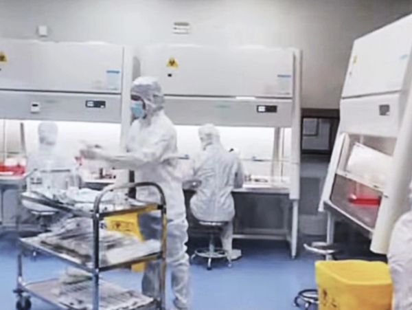 BioCert Laboratory — NSF/ANSI 49 Biosafety Cabinet Certification