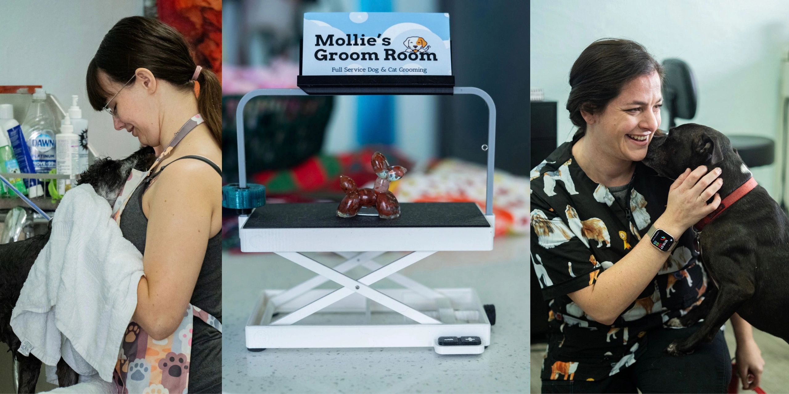 Professional Dog Grooming Services