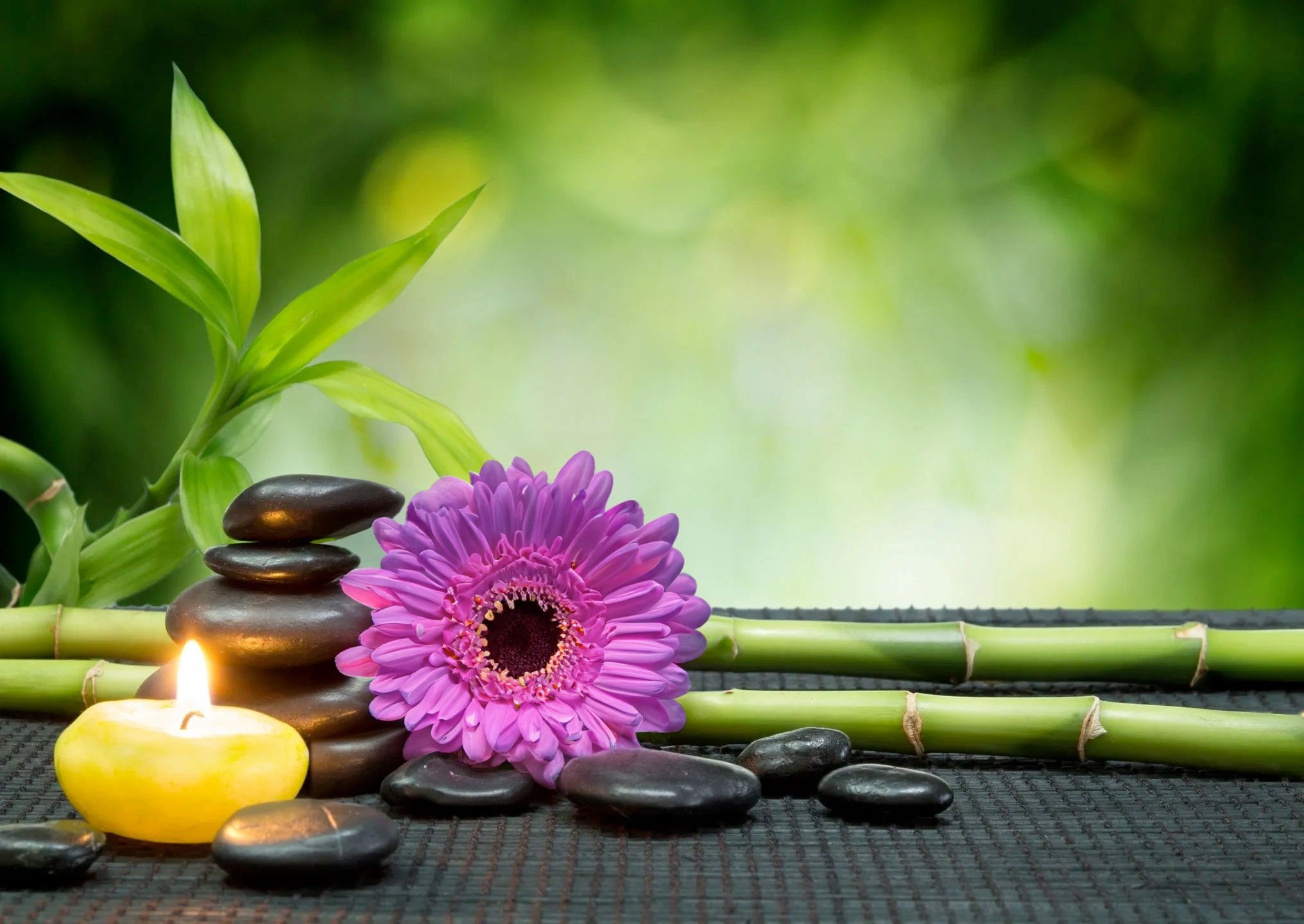 Paula Lee Massage Therapy in West Edinburgh