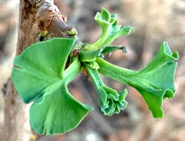 Delicious Food Catering Services