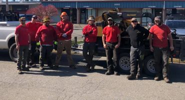 Washington Tree Experts - Tree, Tree Service, Tree Trimming