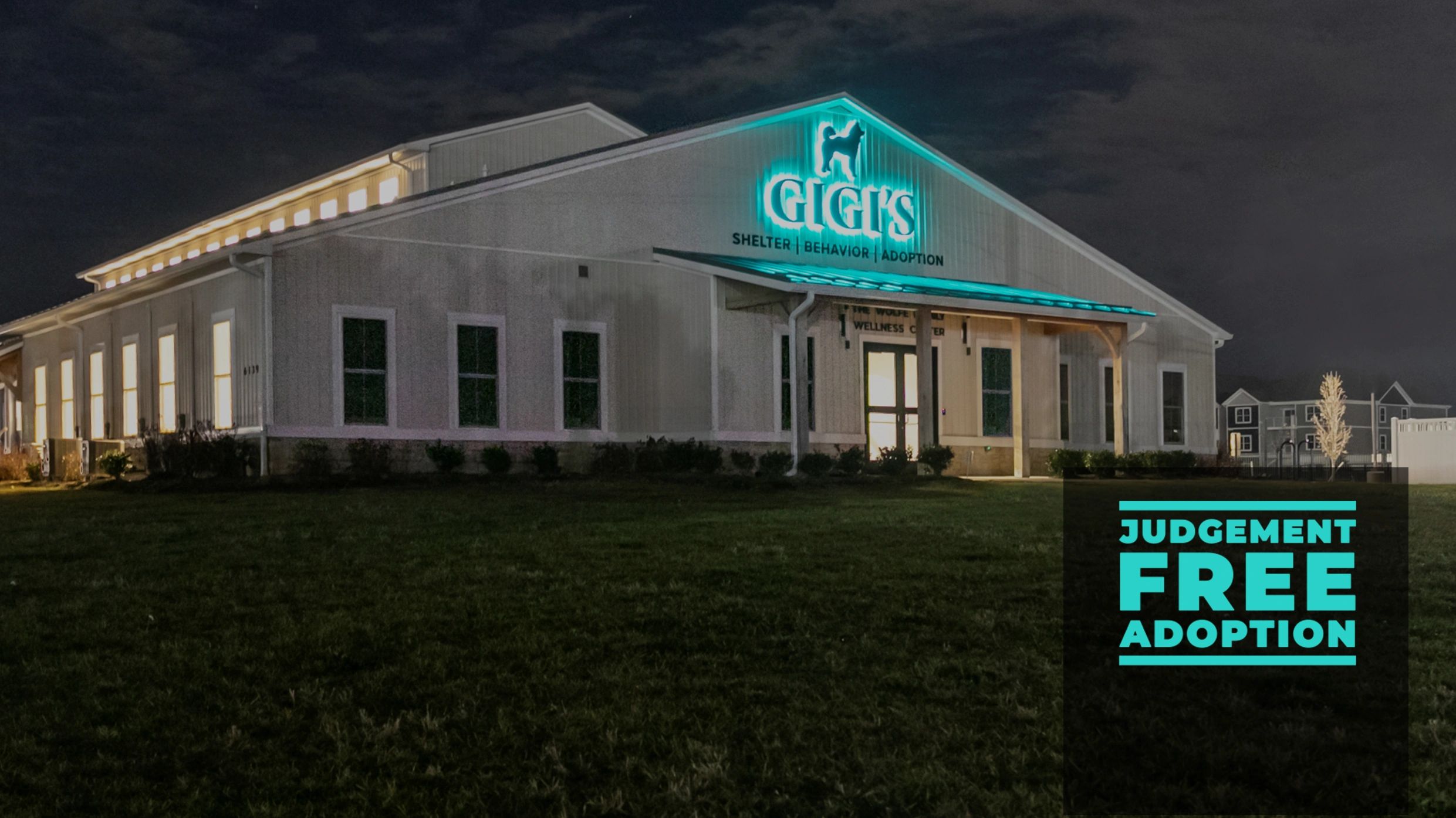 Gigi’s - Dogs, Adoption, Dogs, Animal Shelter