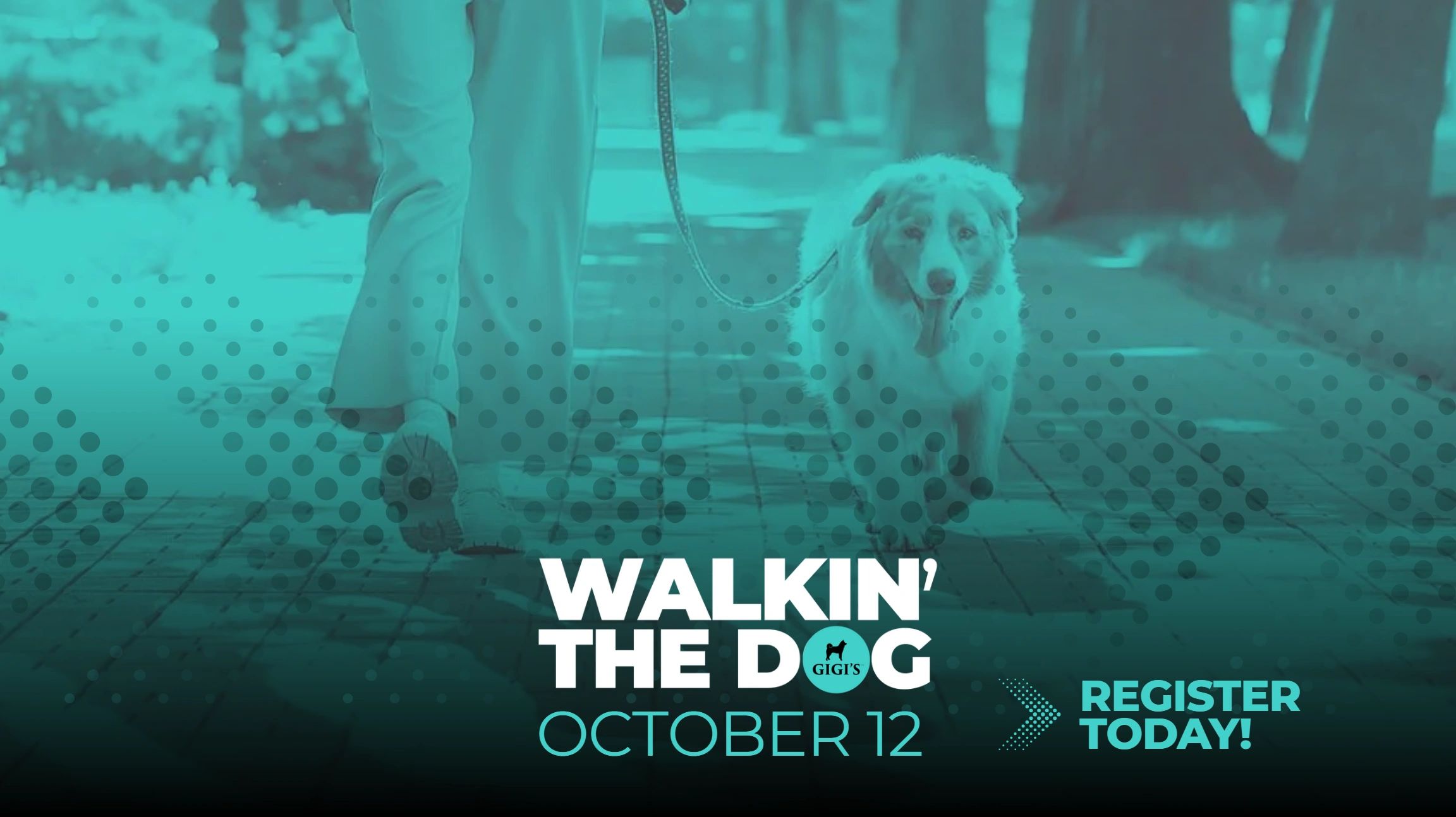 Adopt a Dog