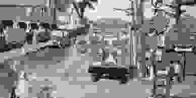 Paintings for Sale - Larry Lerew Fine Art Studio & Gallery