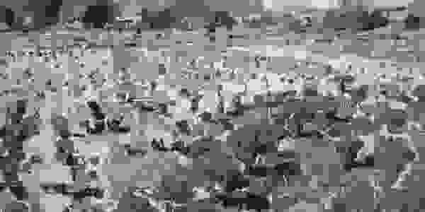 Paintings for Sale - Larry Lerew Fine Art Studio & Gallery