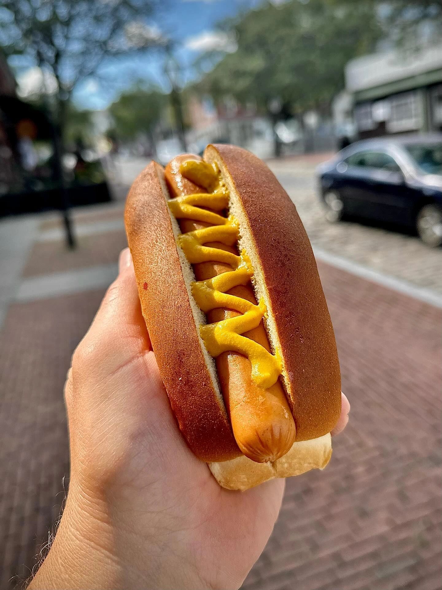 Bomb Dog New Bedford