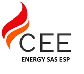 CEE CONSULTING AND ENGINEERING