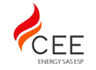 CEE CONSULTING AND ENGINEERING