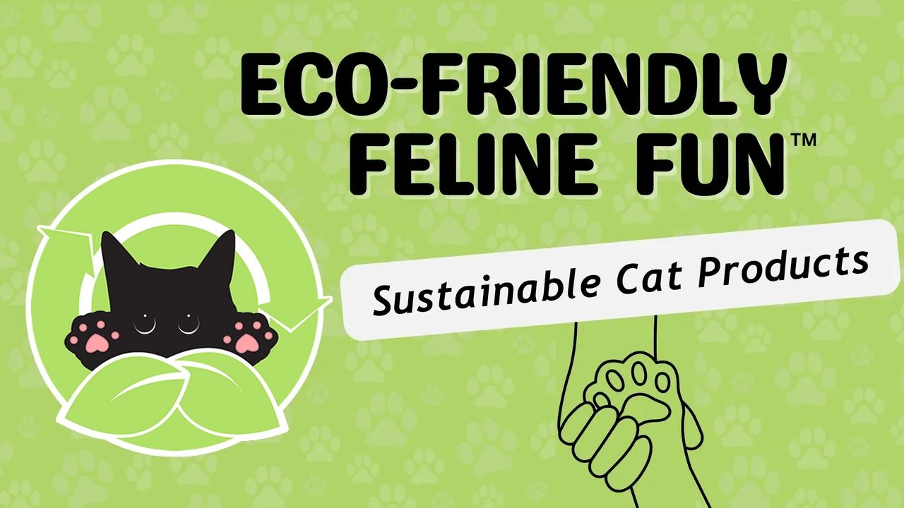 Cat Toys & Eco-Friendly Products