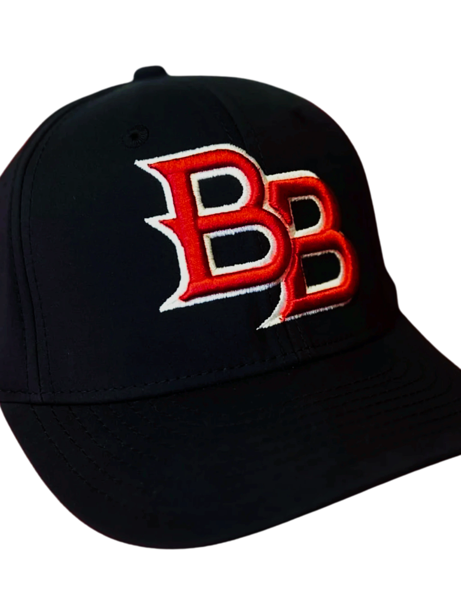 Adult BAT HAT