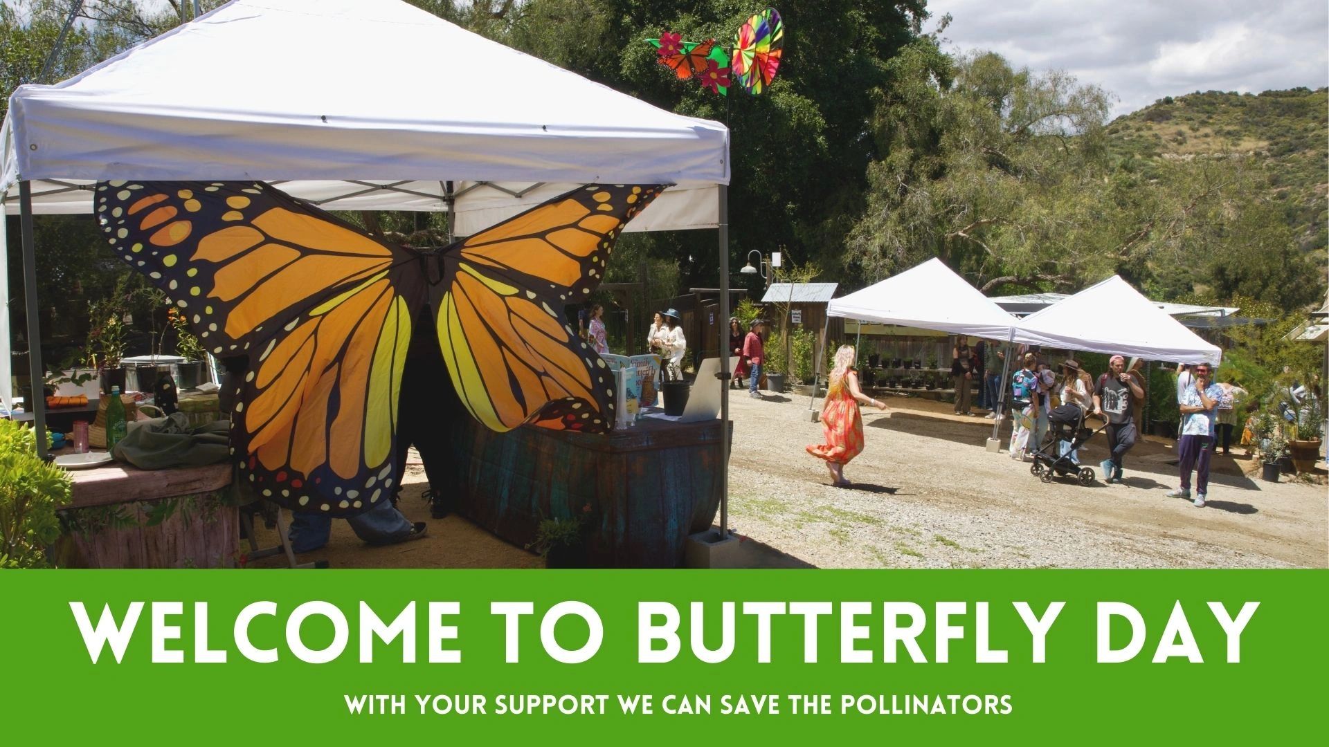 Butterfly Day in Topanga, California