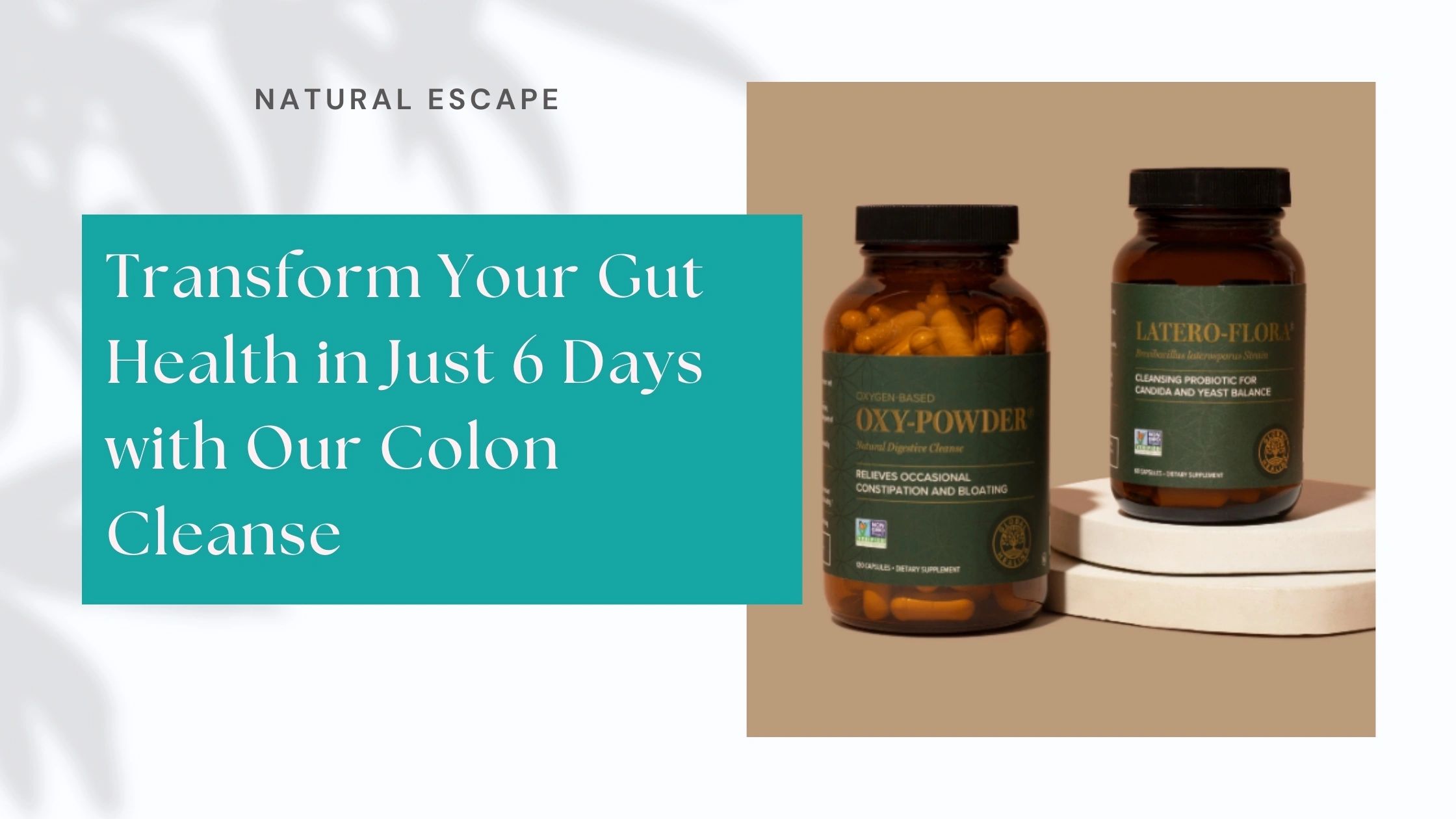 Transform Your Gut Health in Just 6 Days with Our Colon Cleanse