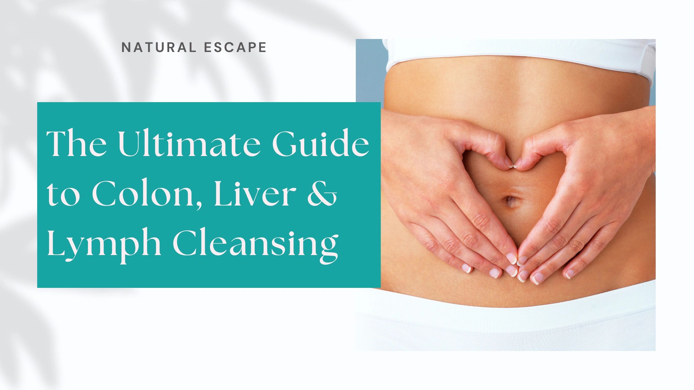 The Ultimate Guide to Colon, Liver & Lymph Cleansing