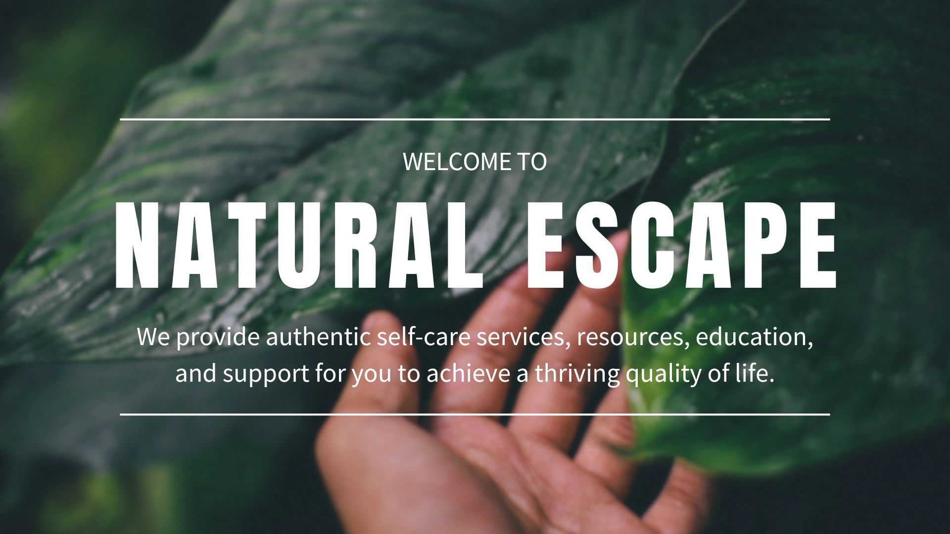 Natural Escape: Your Path to Holistic Wellness in Milwaukee