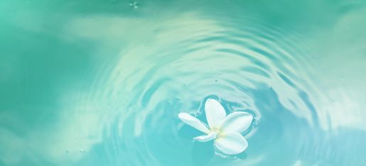 Colon Hydrotherapy Near Me: The Ultimate Guide to Detox