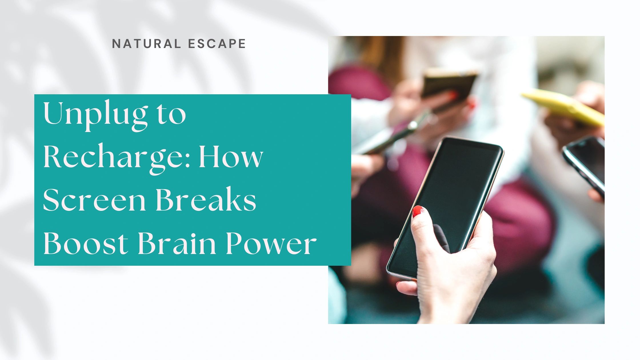 Unplug to Recharge: How Screen Breaks Boost Brain Power