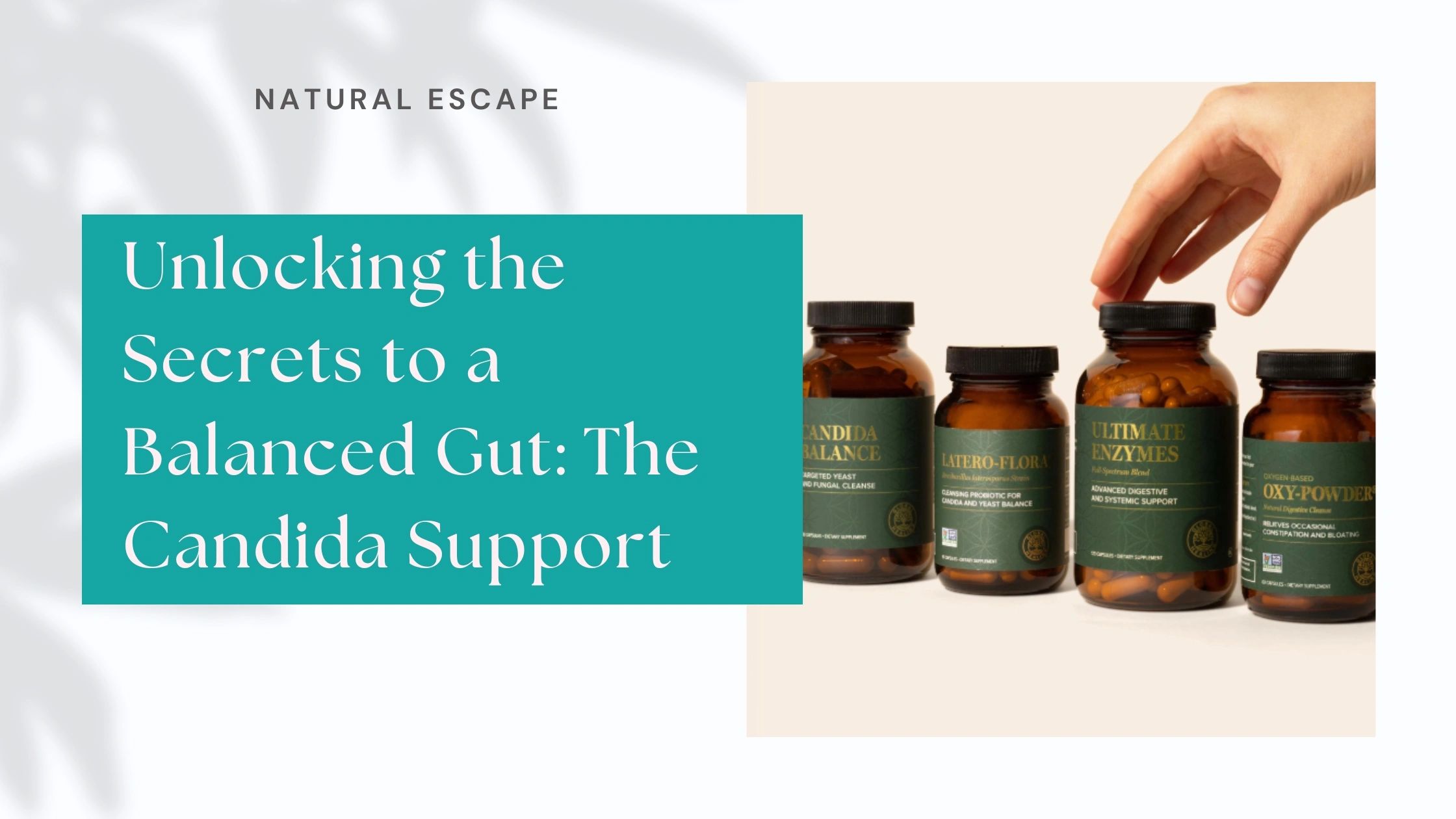 Unlocking the Secrets to a Balanced Gut: The Candida Support