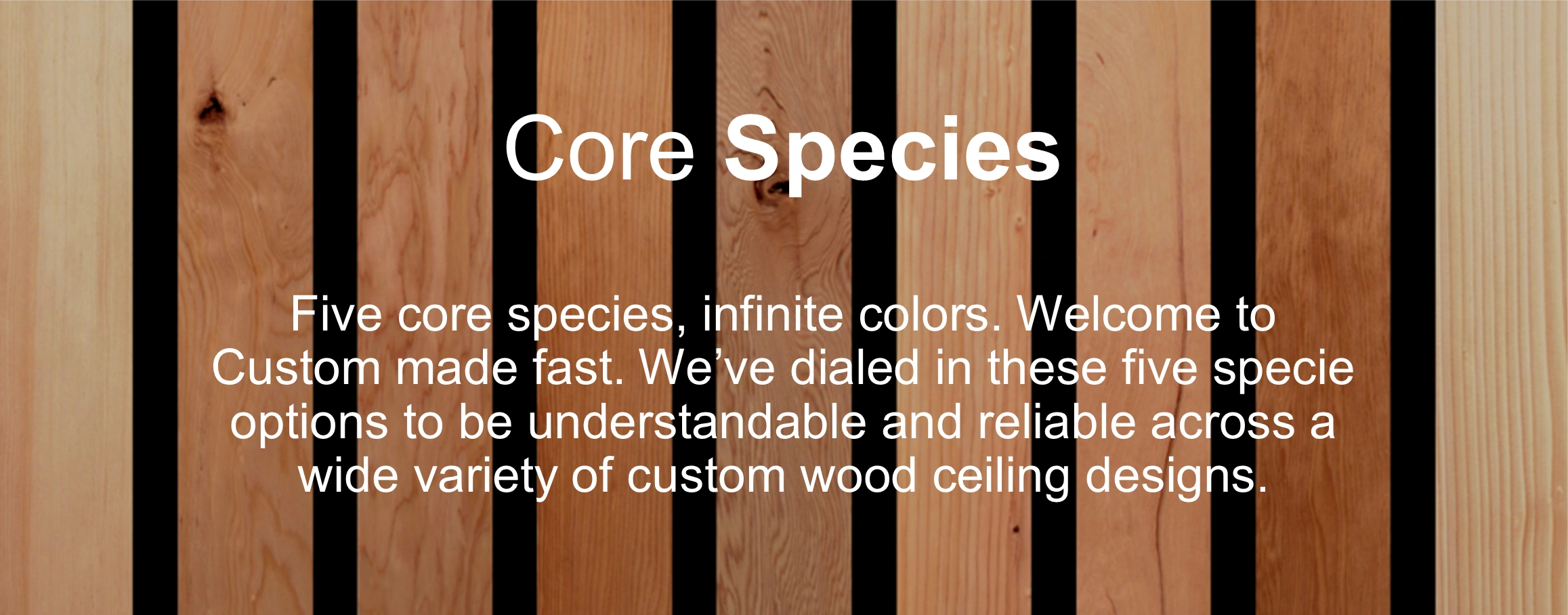 9Wood | Endless Palette Possibilities!