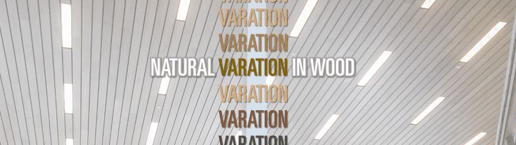 Understanding & Appreciating Natural Variation in Wood Products