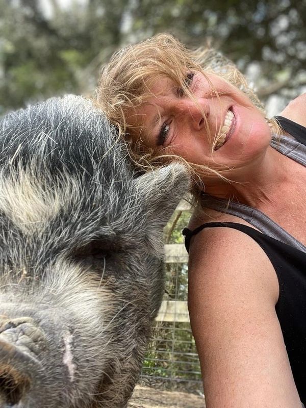 Mini Pig Rescue - My Pig Filled Life Mini Pig Rescue